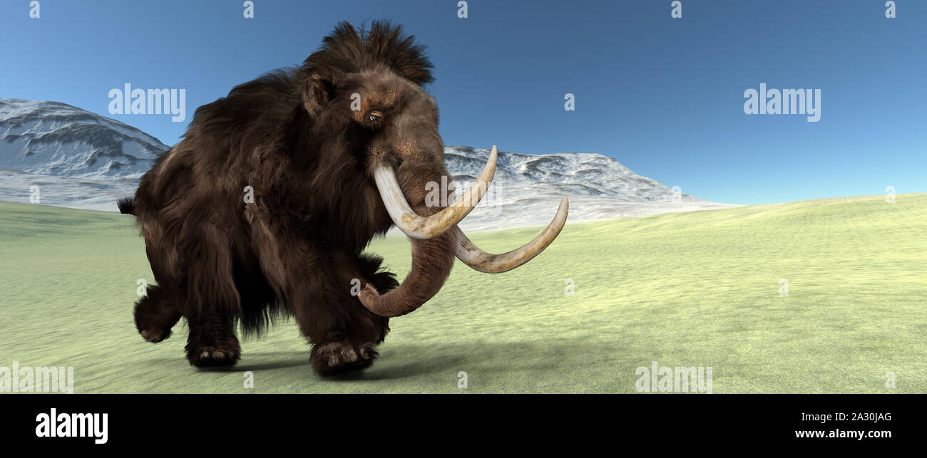 Mammoth Extremely detailed and realistic high resolution 3d image Stock ...