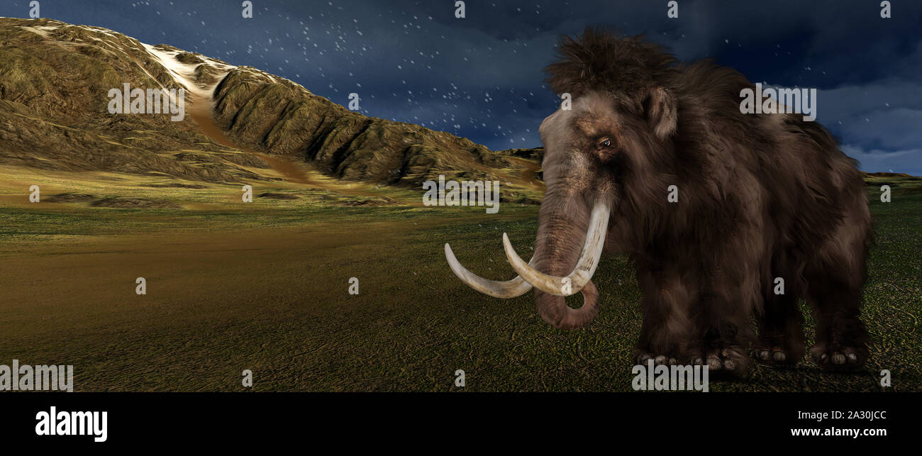 Ice age megafauna hi-res stock photography and images - Alamy