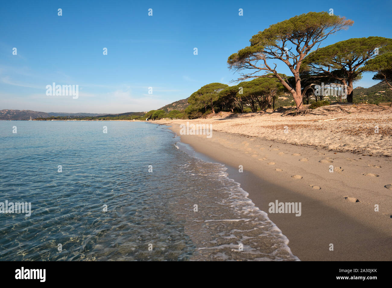 Palombaggia beach / Plage de Palombaggia a popular scenic, clear-water ...