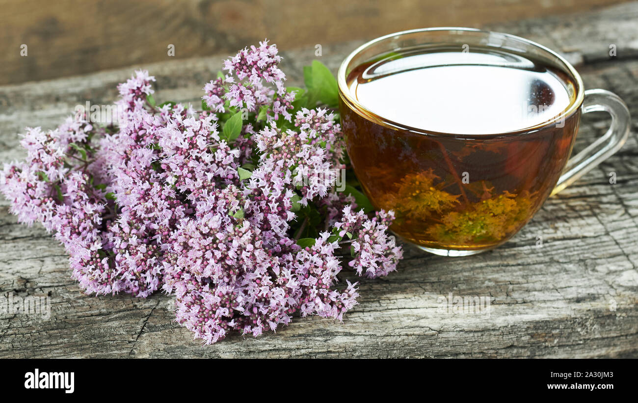 Naturopat hi-res stock photography and images - Alamy