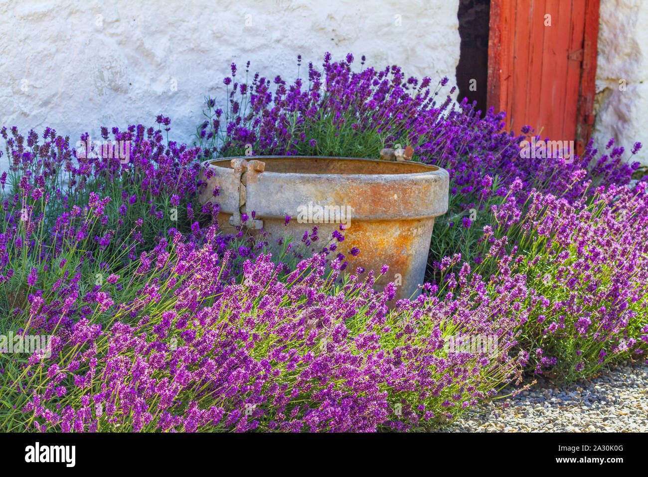 Rusty garden pot hi-res stock photography and images - Alamy