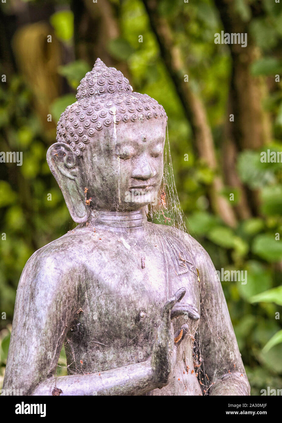 Buddha statue with cow webs in a domestic garden Stock Photo - Alamy
