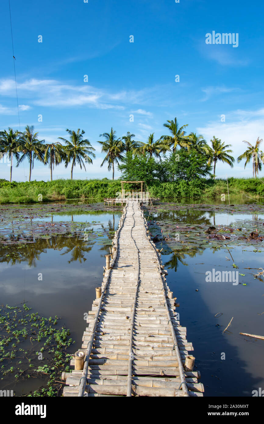 Bamboo walkway and Bamboo shack on the pond Stock Photo - Alamy