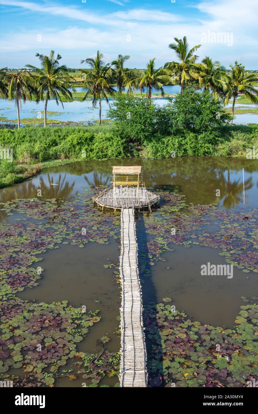 Bamboo walkway and Bamboo shack on the pond Stock Photo - Alamy