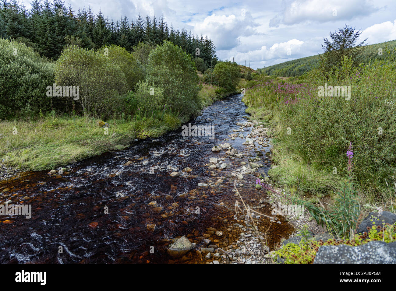 Banagher Glen, Dungiven, County Londonderry, Northern Ireland Stock ...