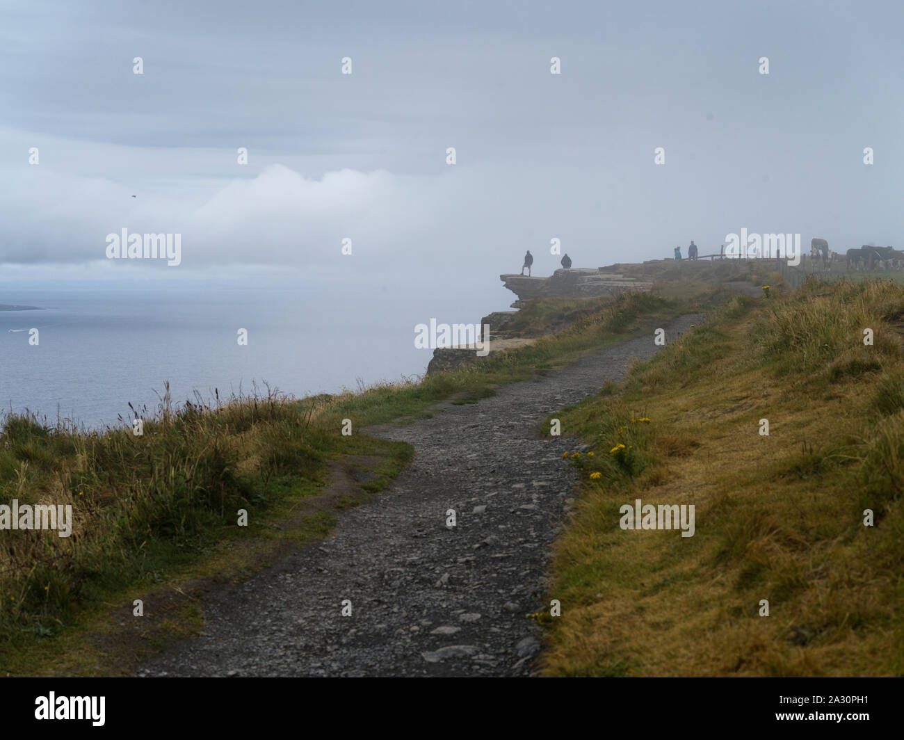 Tourists on cliff, Cliffs of Moher, Lahinch, County Clare, Ireland ...