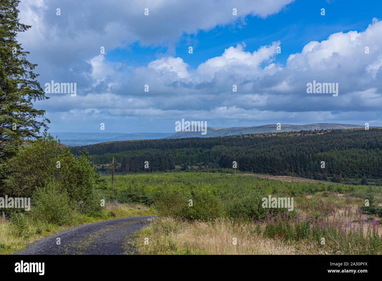 Banagher High Resolution Stock Photography and Images - Alamy