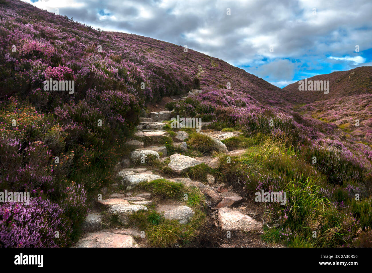 Pathway pathways hi-res stock photography and images - Alamy