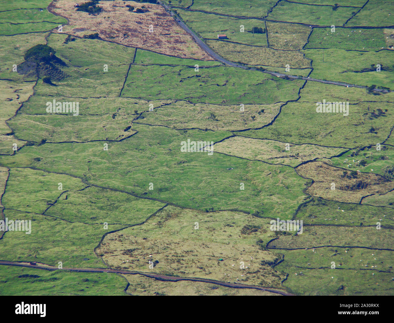 View of Pico island from the summit of its volcano (Azores archipelago ...