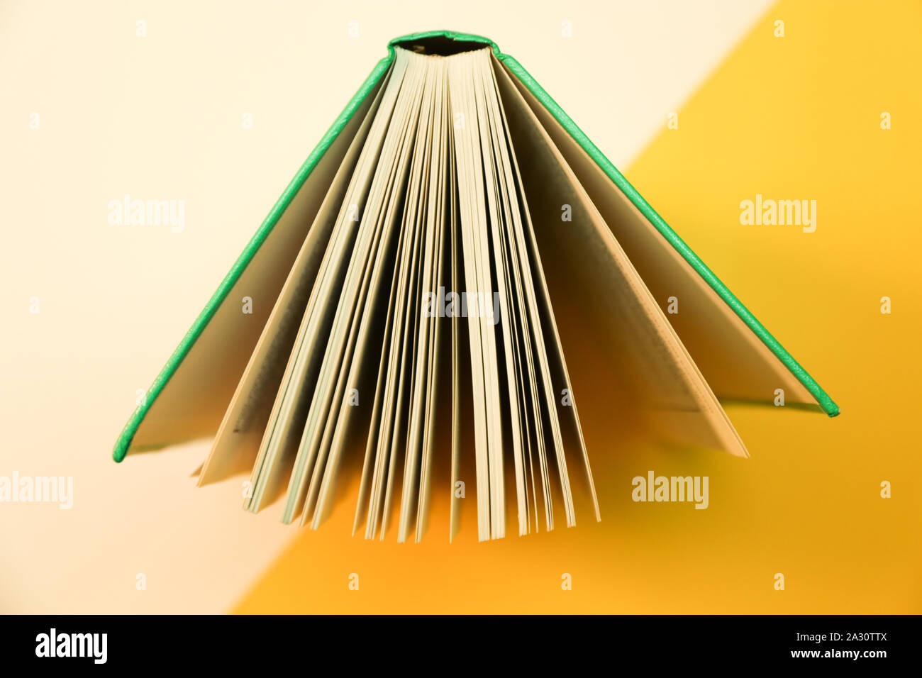 Open book with dual tone background. Hardcover book open pages Stock ...