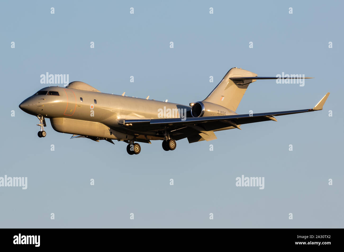 Sentinel R1 Raf High Resolution Stock Photography and Images - Alamy