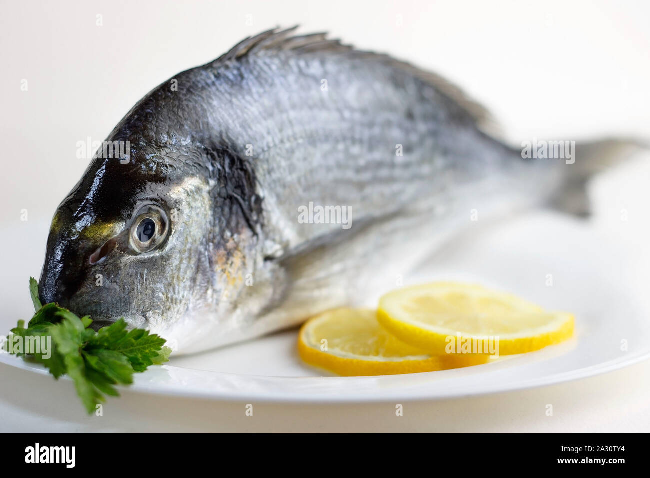 Dorado fish hi-res stock photography and images - Alamy
