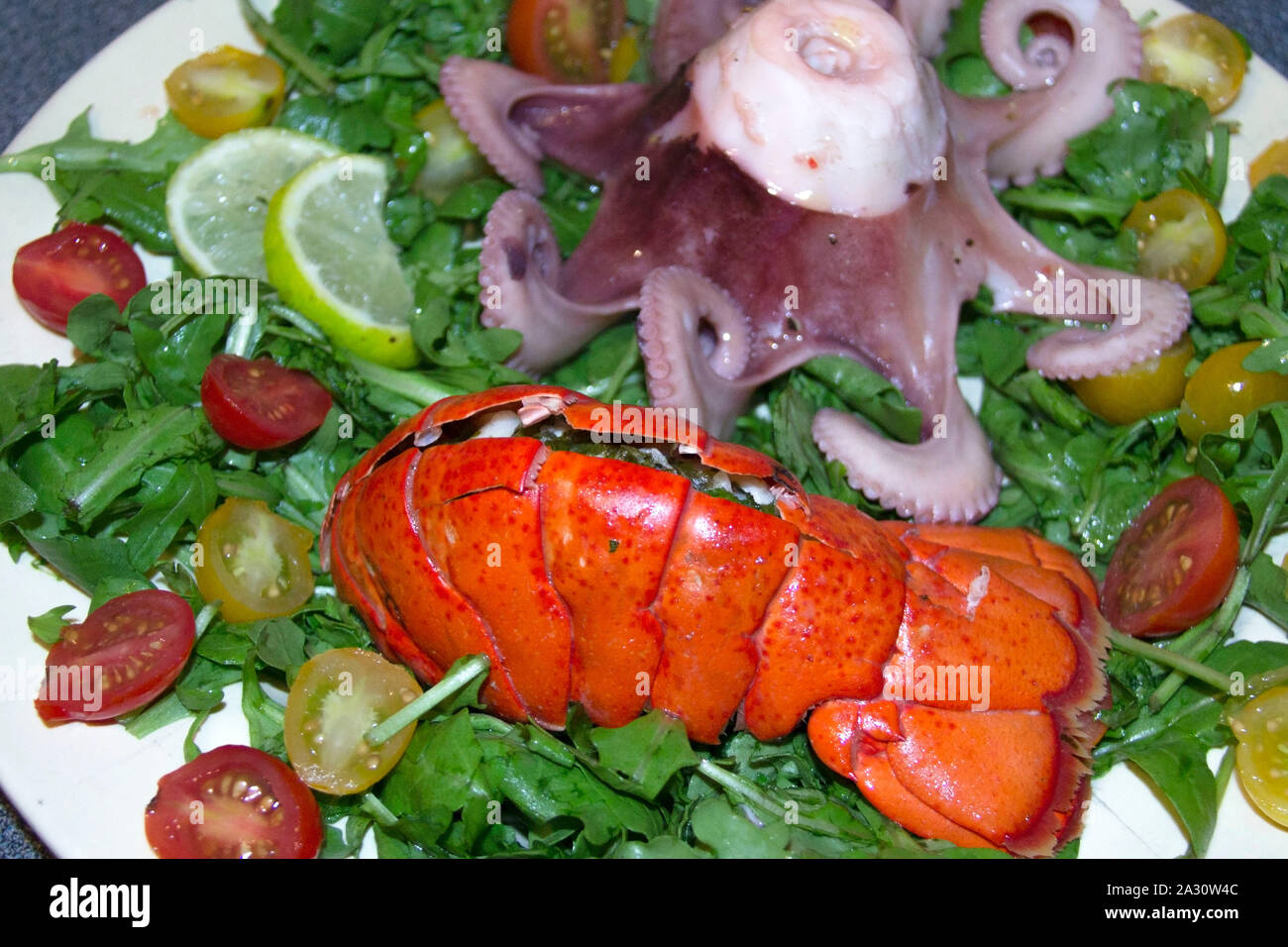 Cooked octopus and lobster tail with salad on a plate. Sea food dish ...