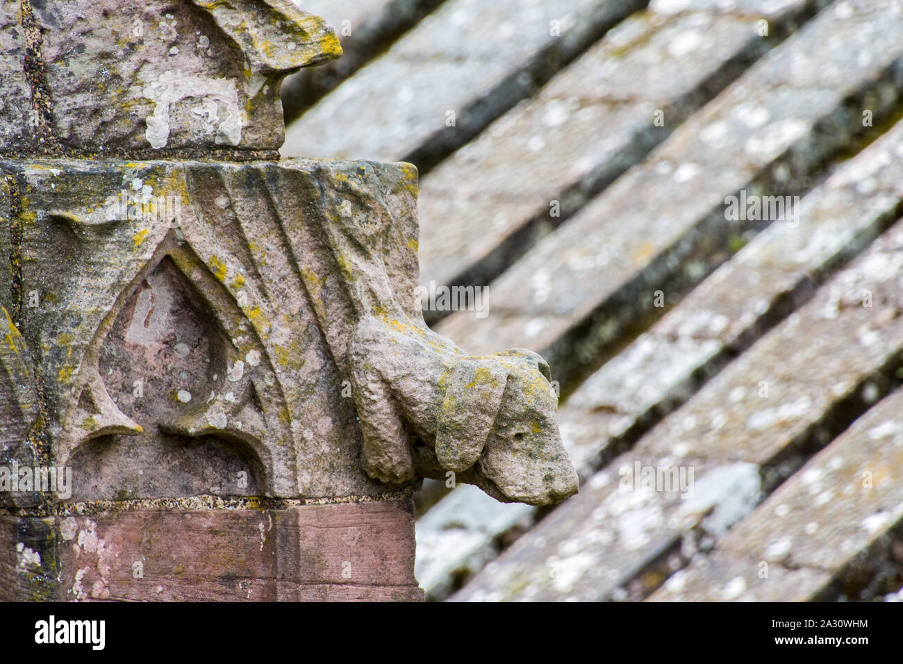 abbey, church, architecture, melrose, england, stone, historic ...