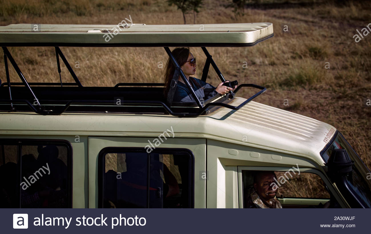 Safari Roof High Resolution Stock Photography and Images - Alamy