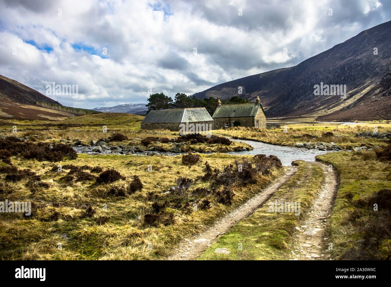Glenmark hi-res stock photography and images - Alamy