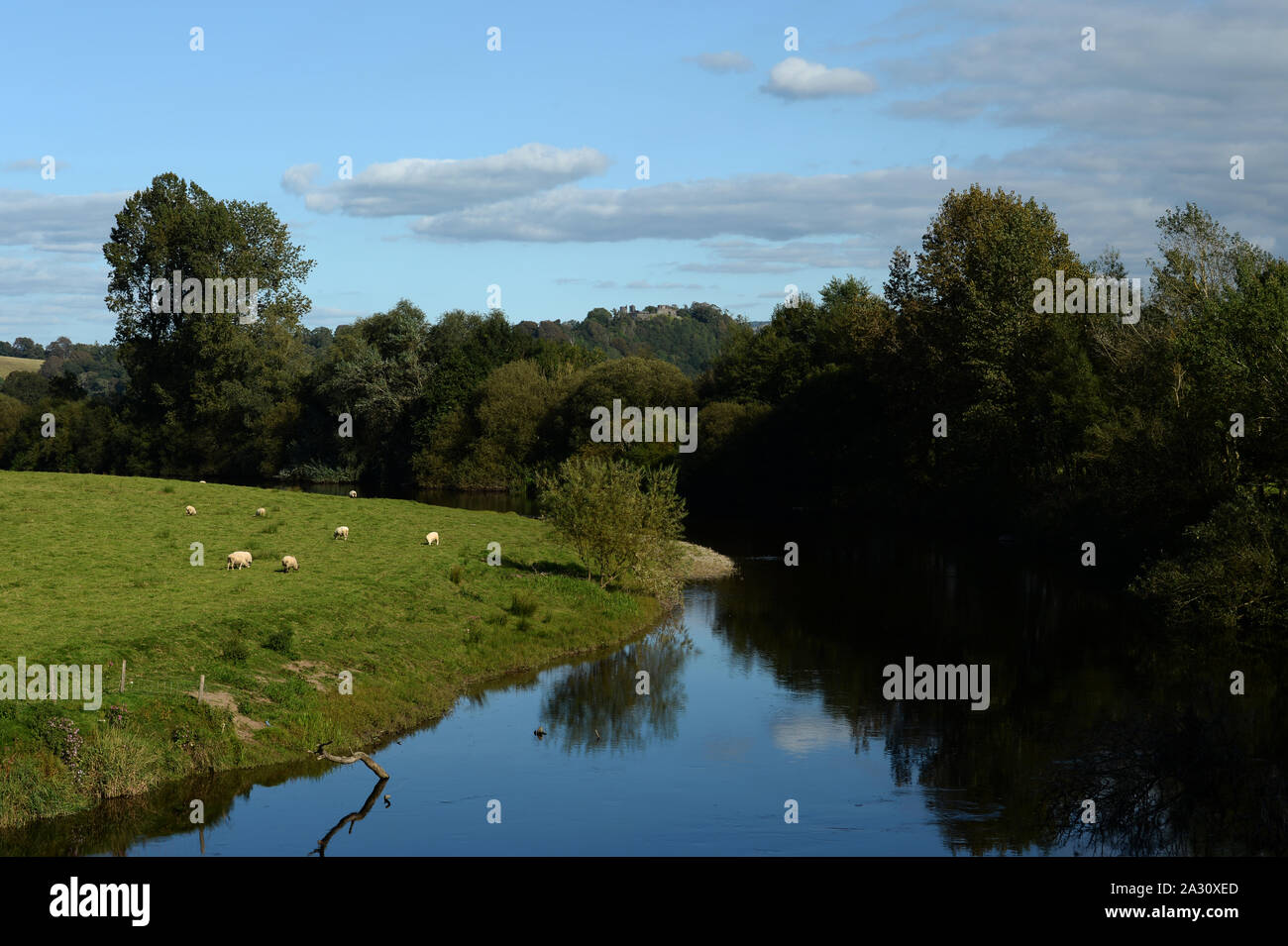 River Towy looking north to Dynefwr castle from bridge at Llangathen ...