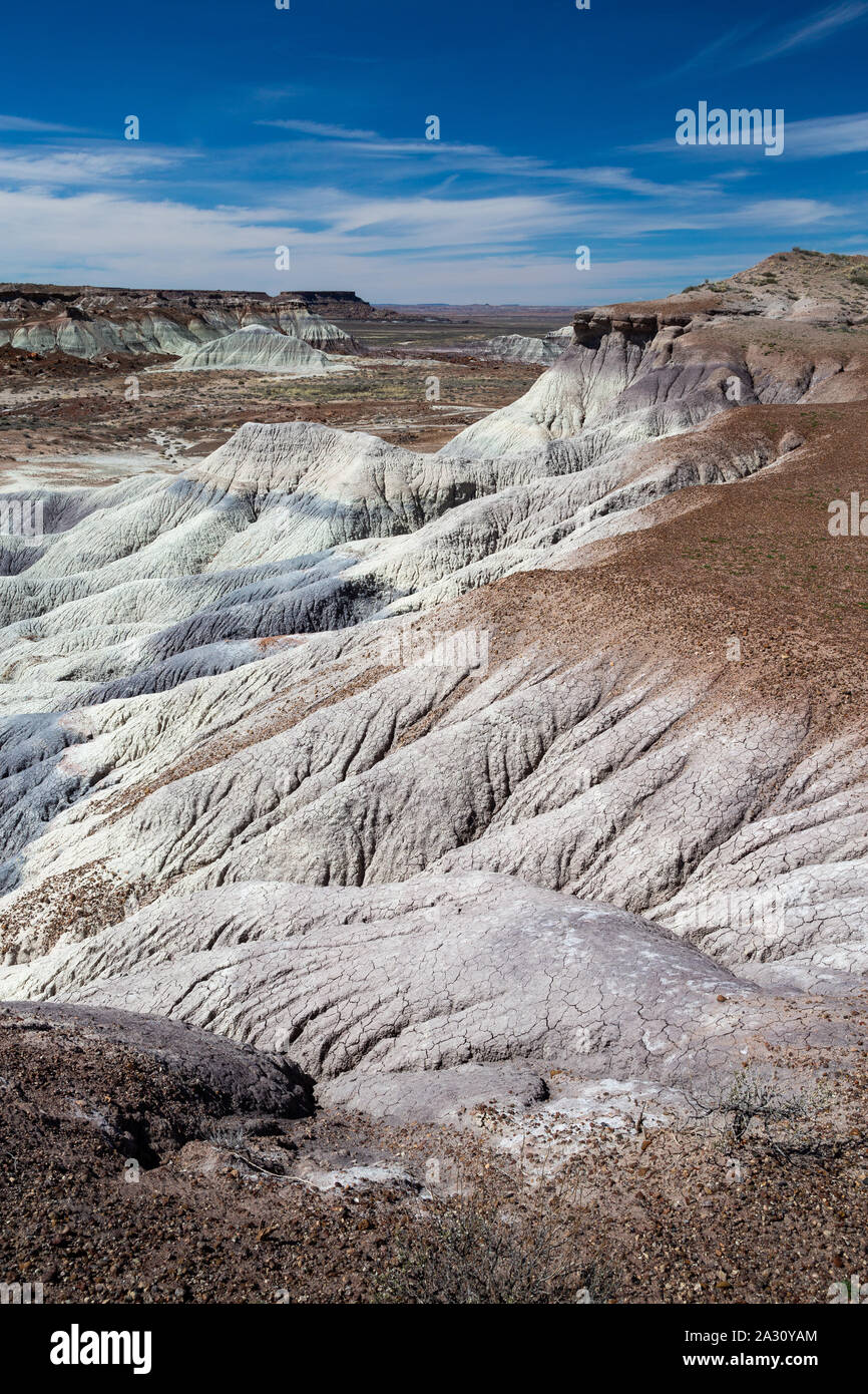 Badlands hills descending into the Jasper Forest. Petrified Forest ...