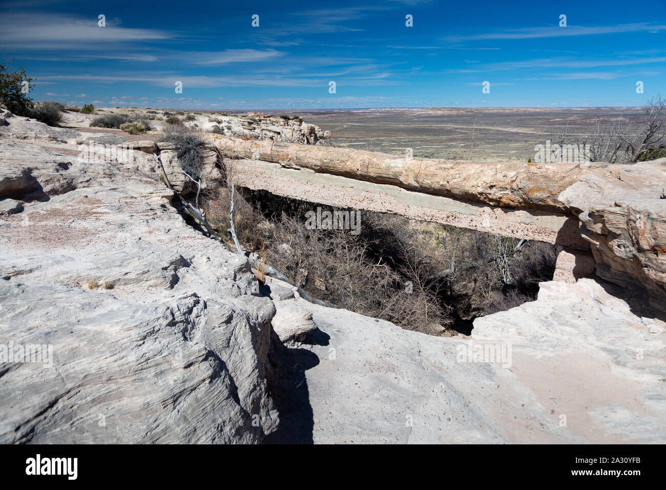 The Agate Bridge spanning across an eroded sandstone channel. Petrified ...