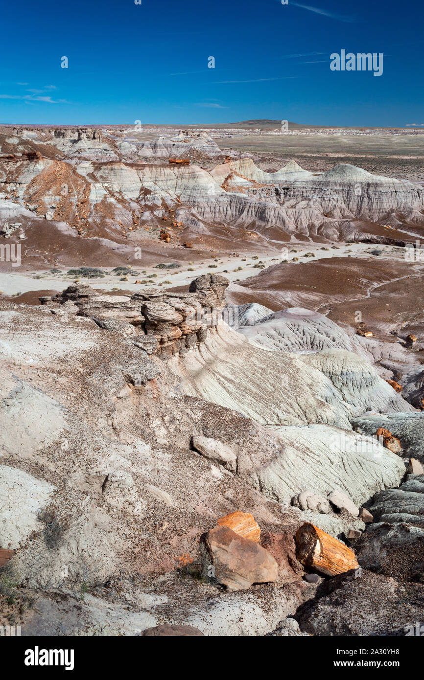 Pieces of petrified wood lie scattered around the badlands hills of ...
