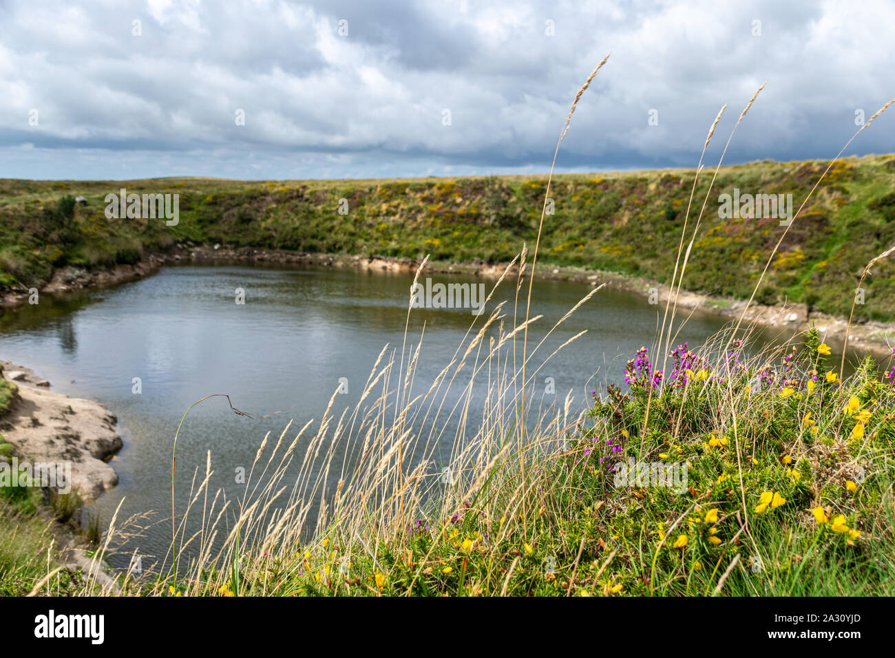 Dartmoor waterscape hi-res stock photography and images - Alamy