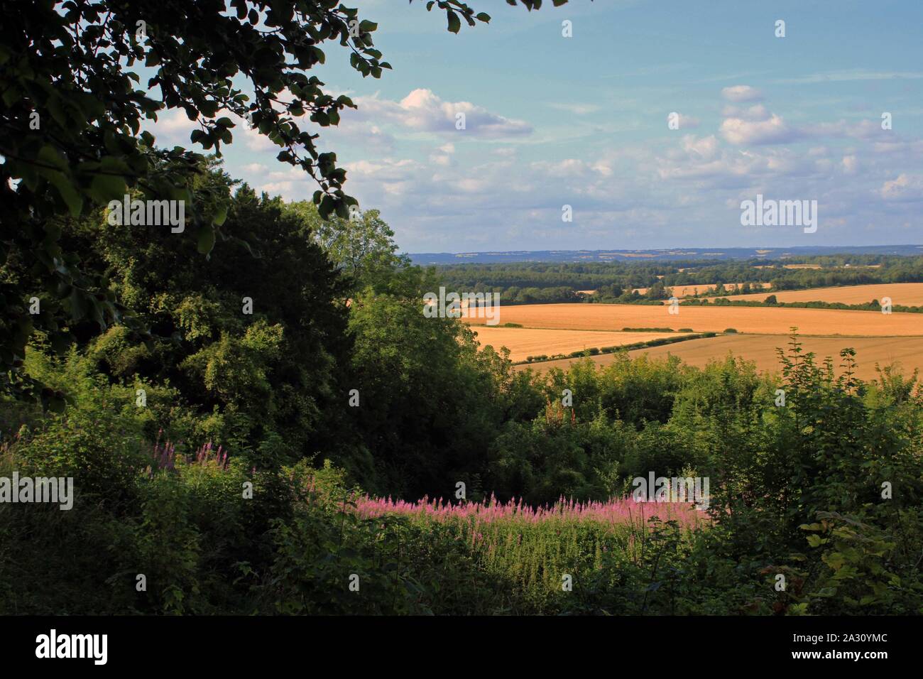 Test Valley in Hampshire UK Stock Photo - Alamy