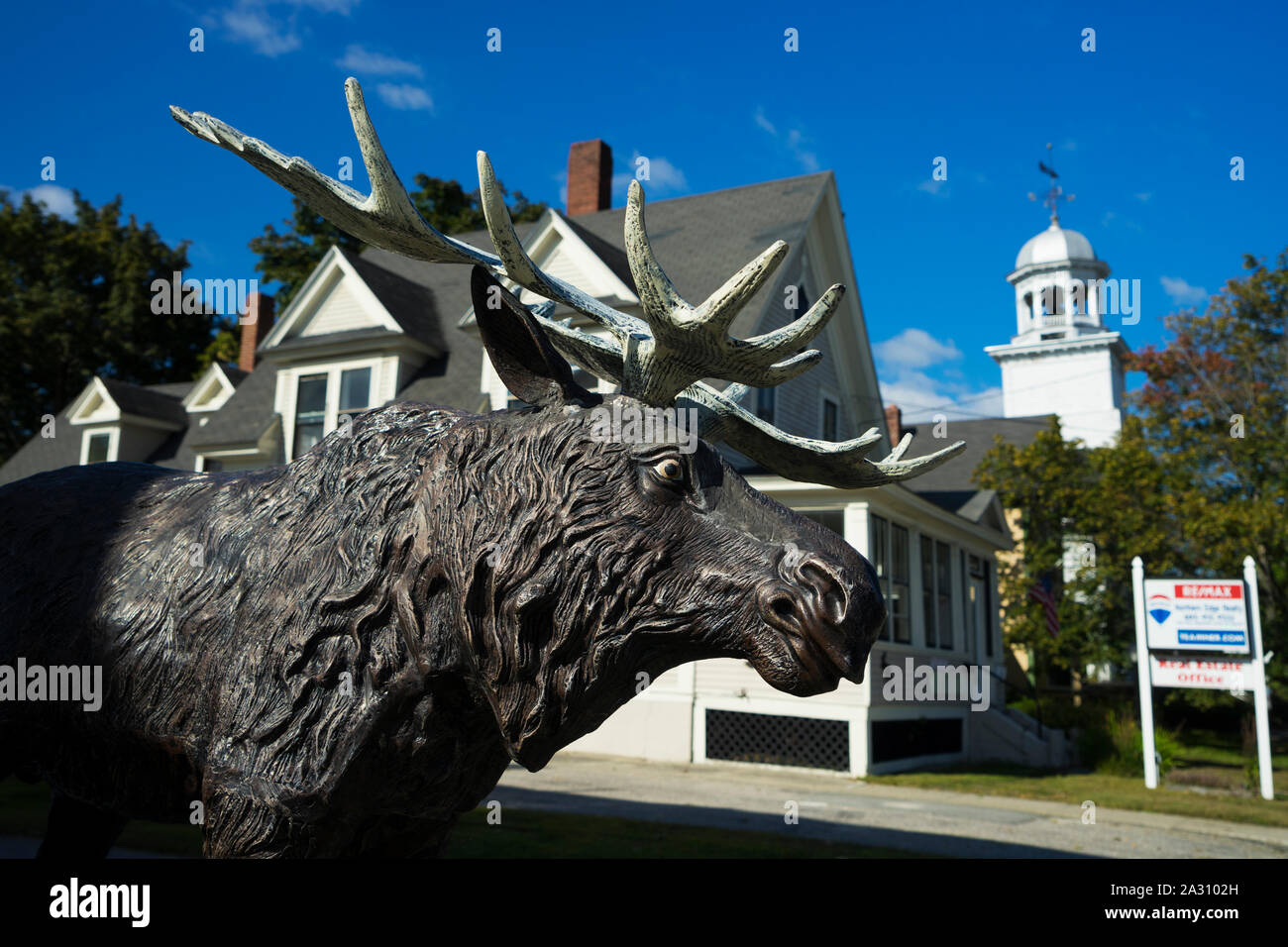 Fake animals hi-res stock photography and images - Alamy