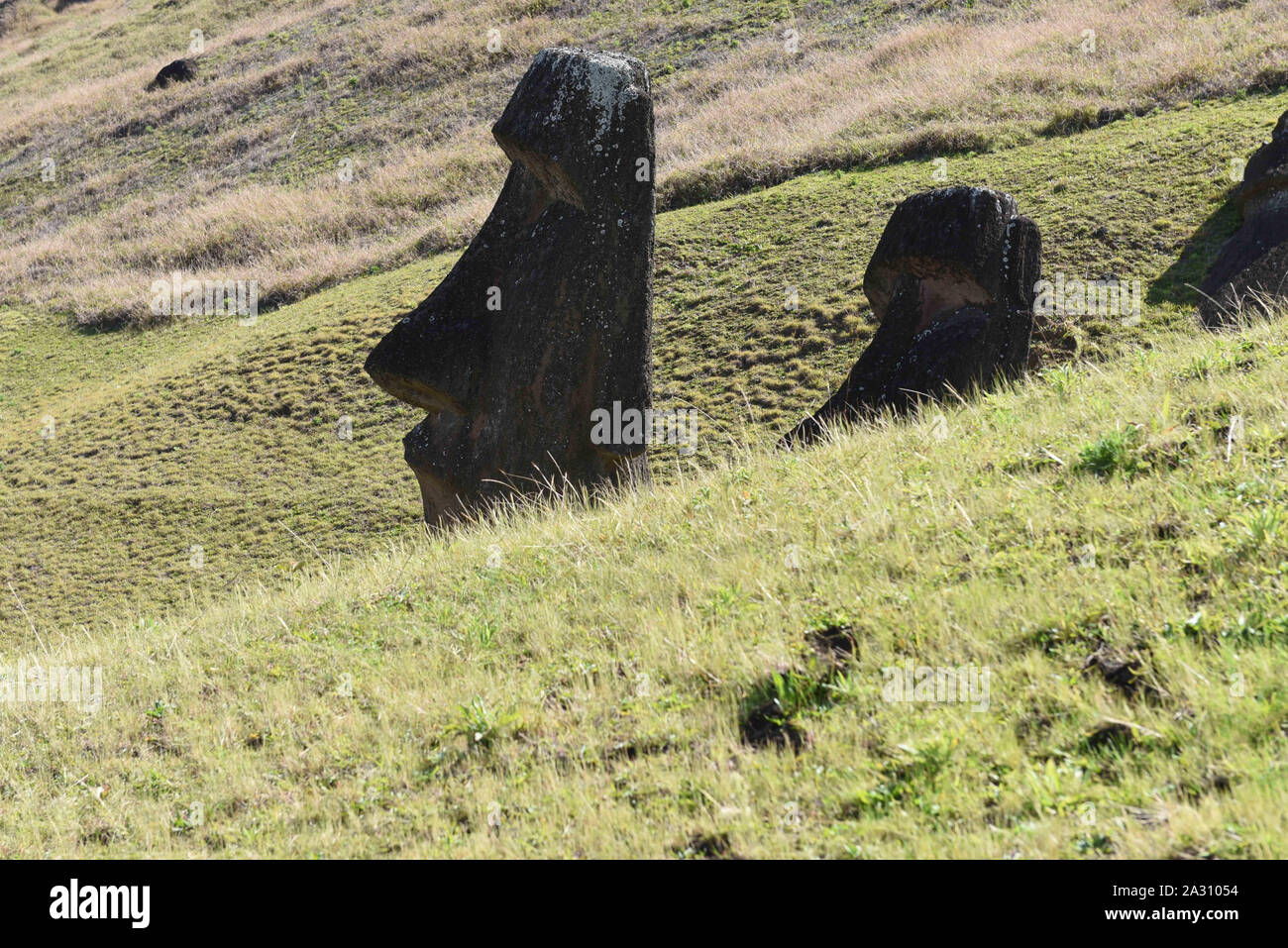 Rapa nui nationalpark hi-res stock photography and images - Alamy
