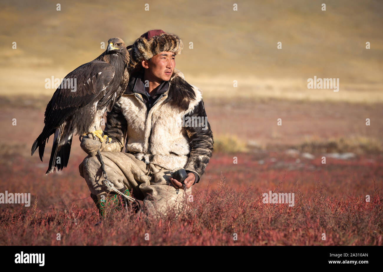 Traditional kazakh eagle hunter with his golden eagle that is used to ...