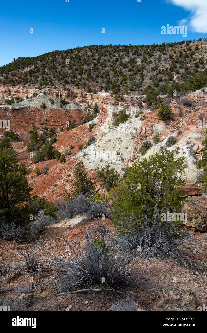 Badlands hills rising behind vegetation along the main hiking trail ...