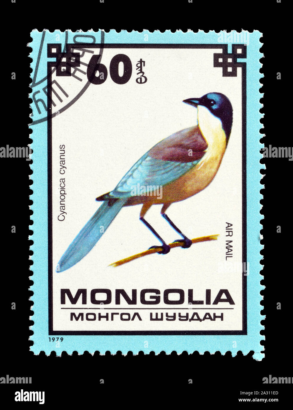 Cancelled postage stamp printed by Mongolia, that shows Azure winged ...