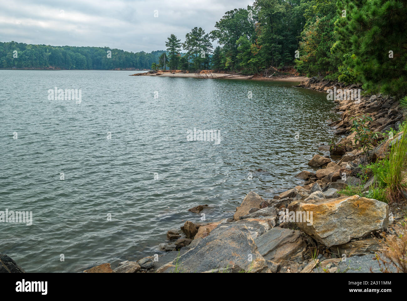 Forest surrounds lagoon on hi-res stock photography and images - Alamy