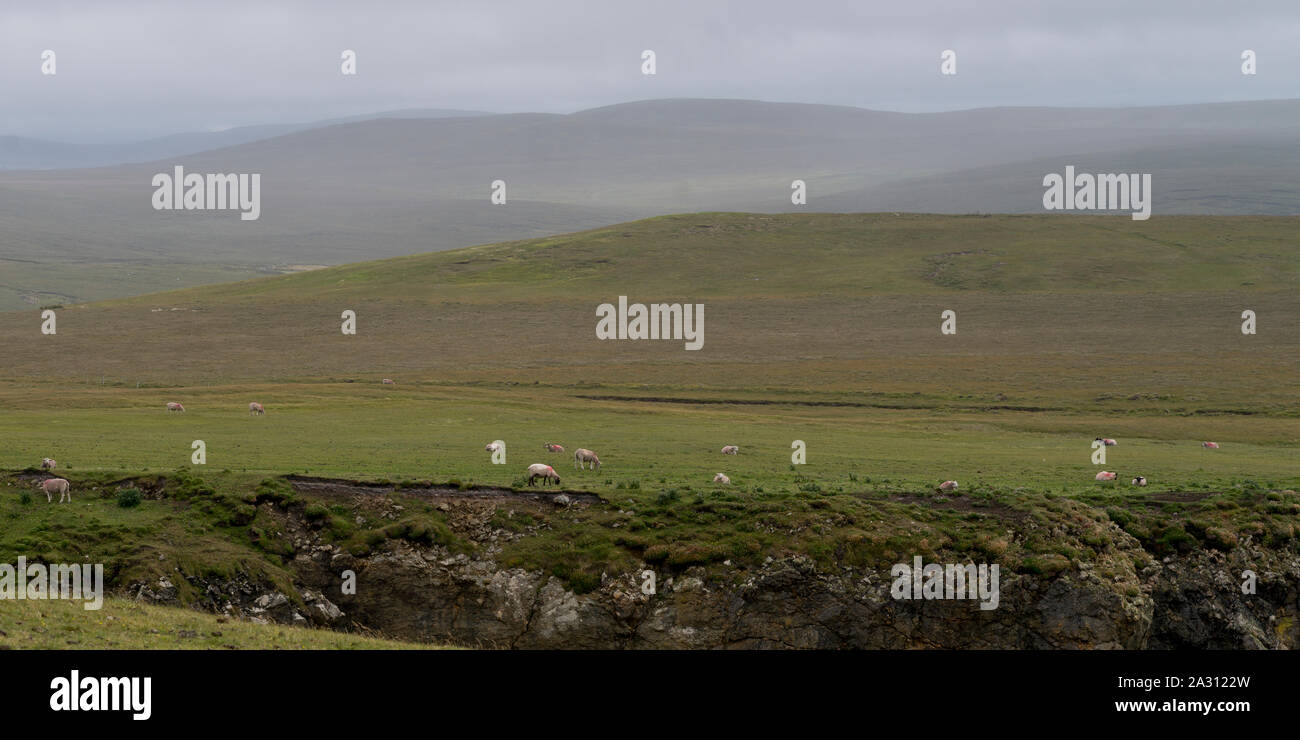 County mayo field mist hi-res stock photography and images - Alamy