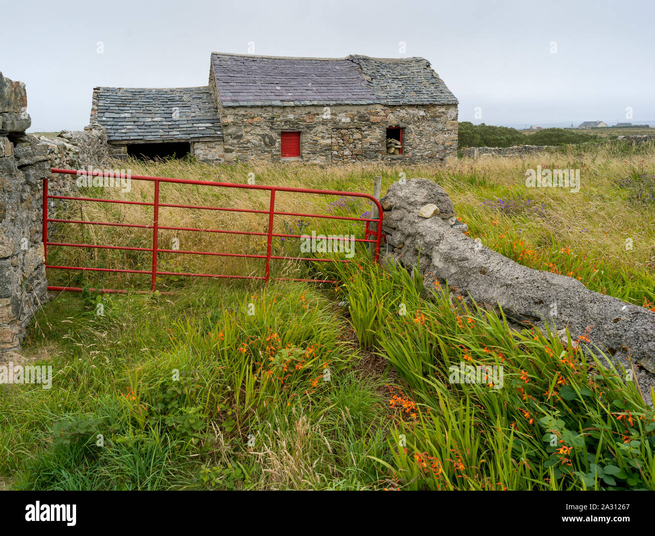 Abandoned stone building in field, Mullet Peninsula, Binghamstown ...
