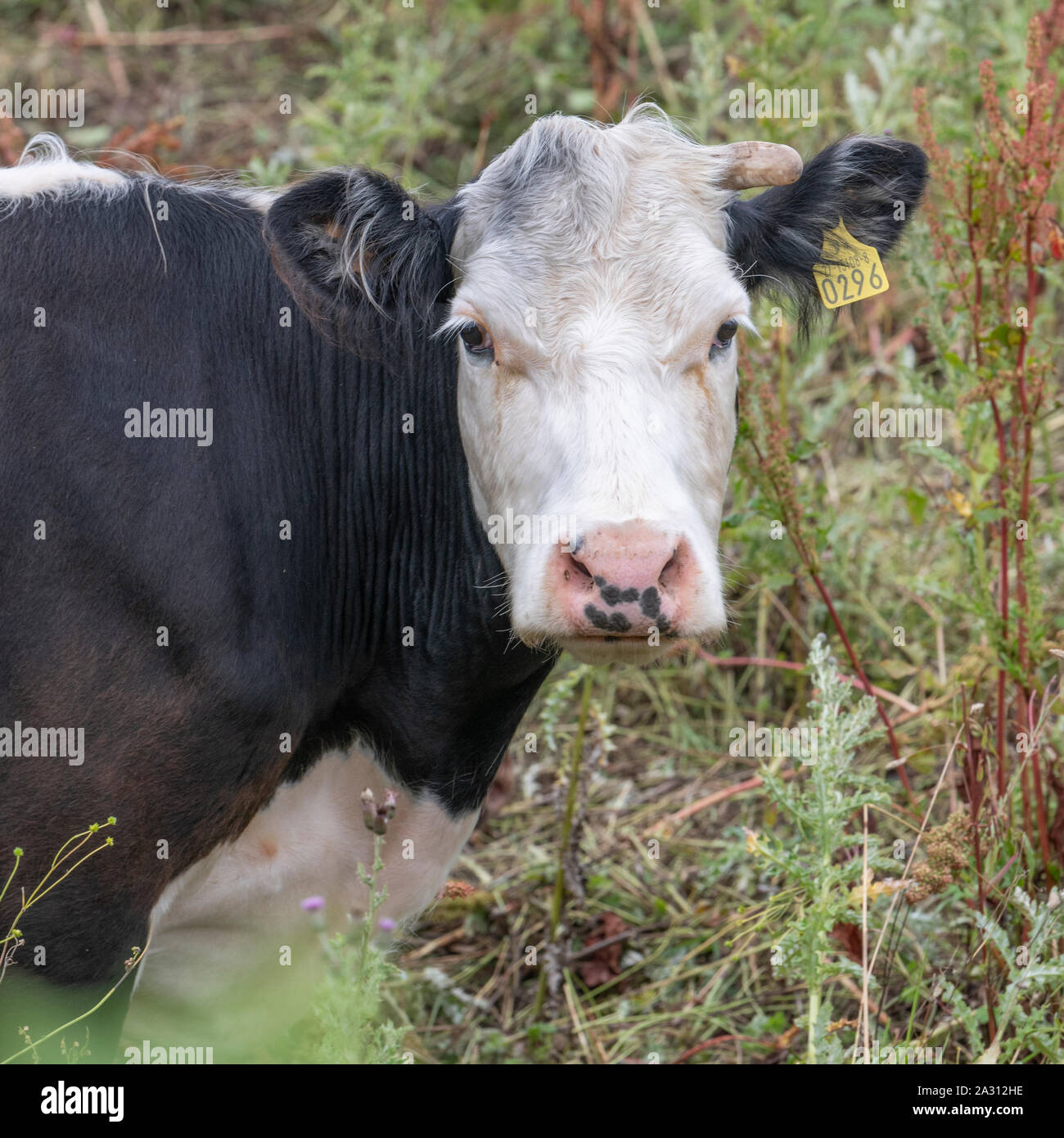Erris ireland hi-res stock photography and images - Alamy
