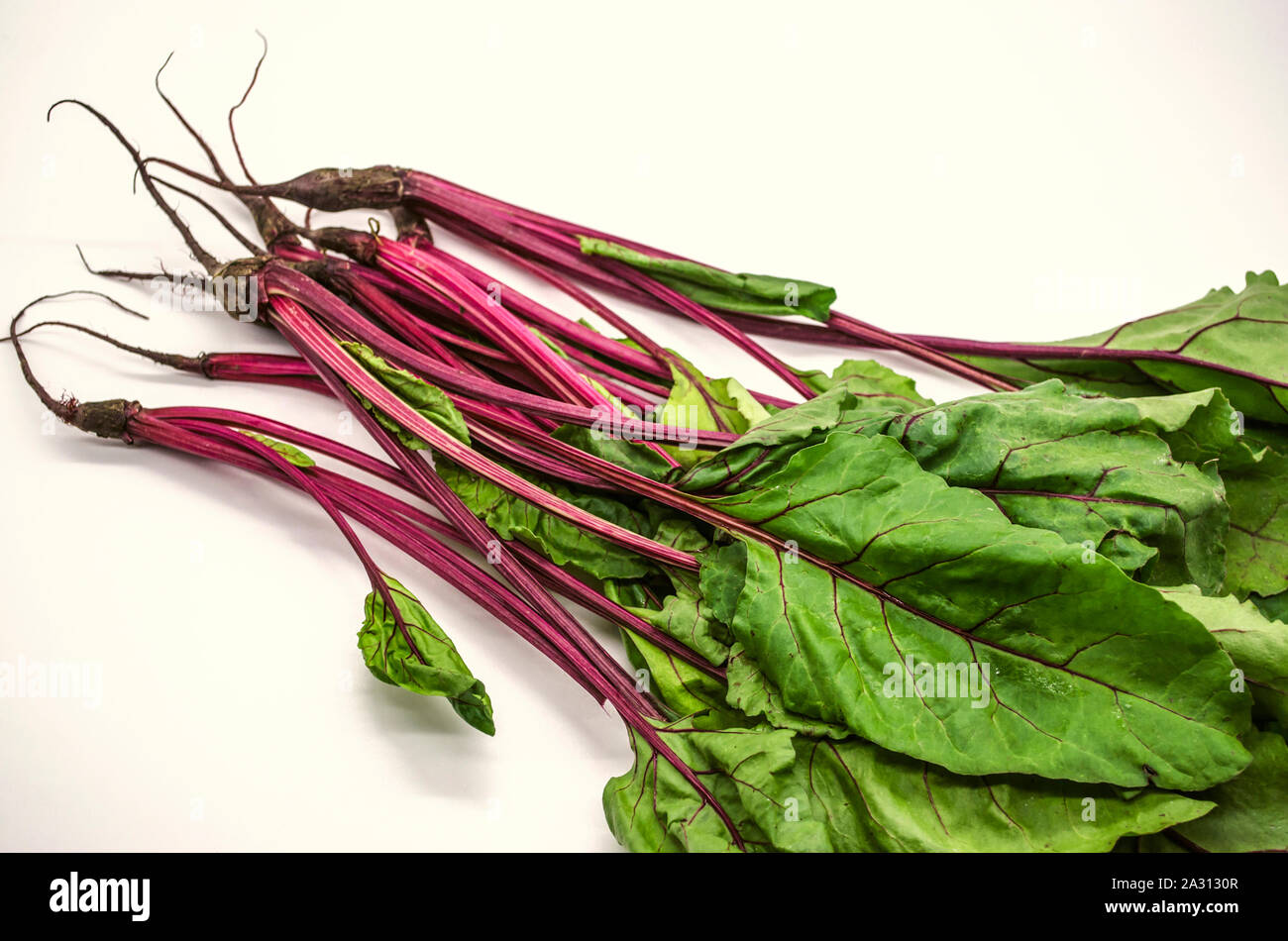 Stems of young shoots of red beet with bright green leaves and maroon ...