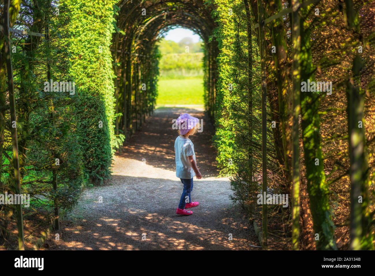 Children exploring maze hi-res stock photography and images - Alamy