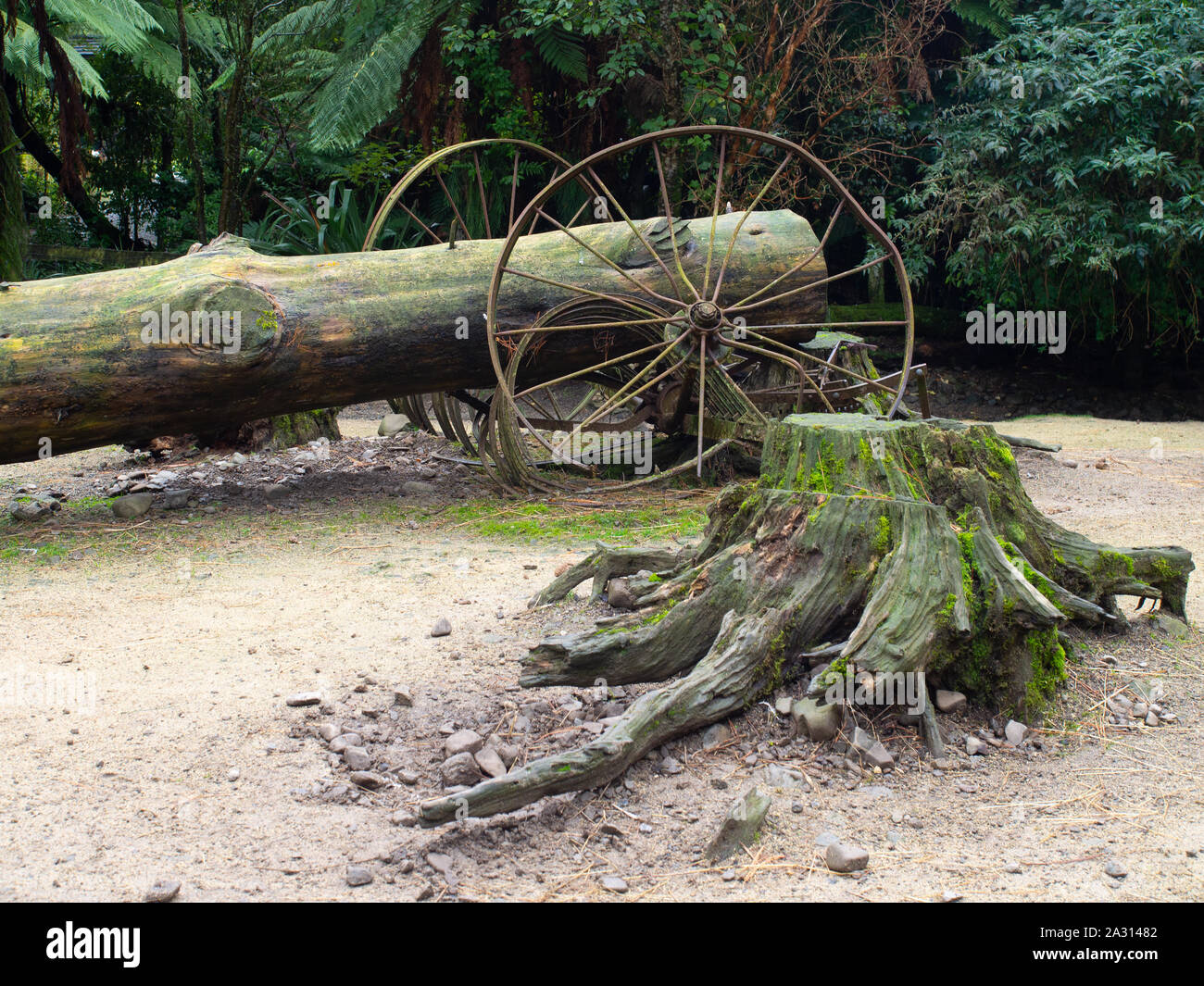 Wagon Wheels And A Tree Stump Stock Photo - Alamy