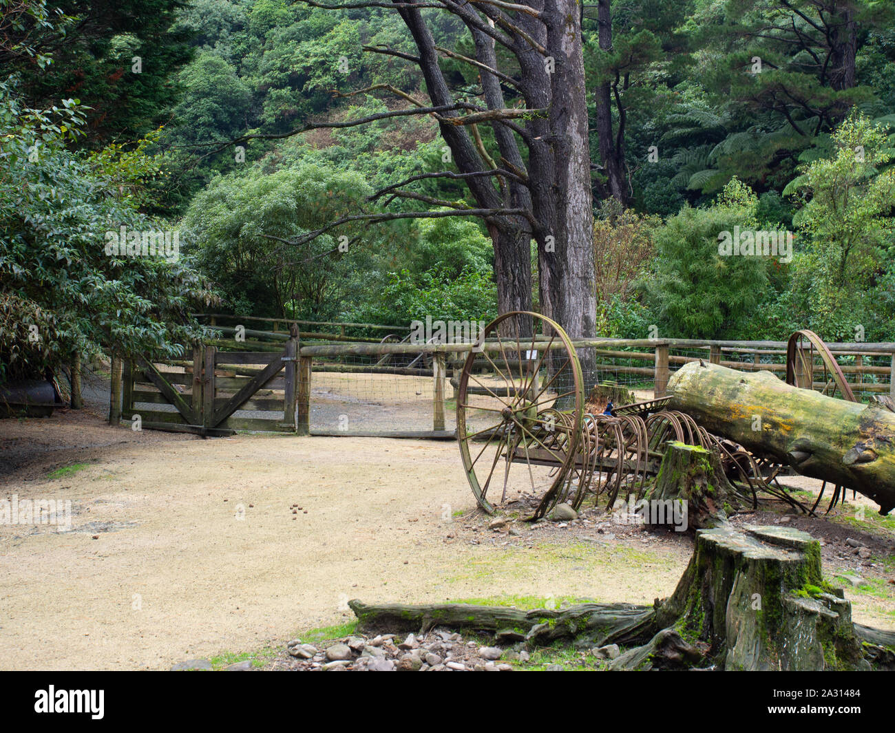 Wagon Wheels And A Tree Stump Stock Photo - Alamy