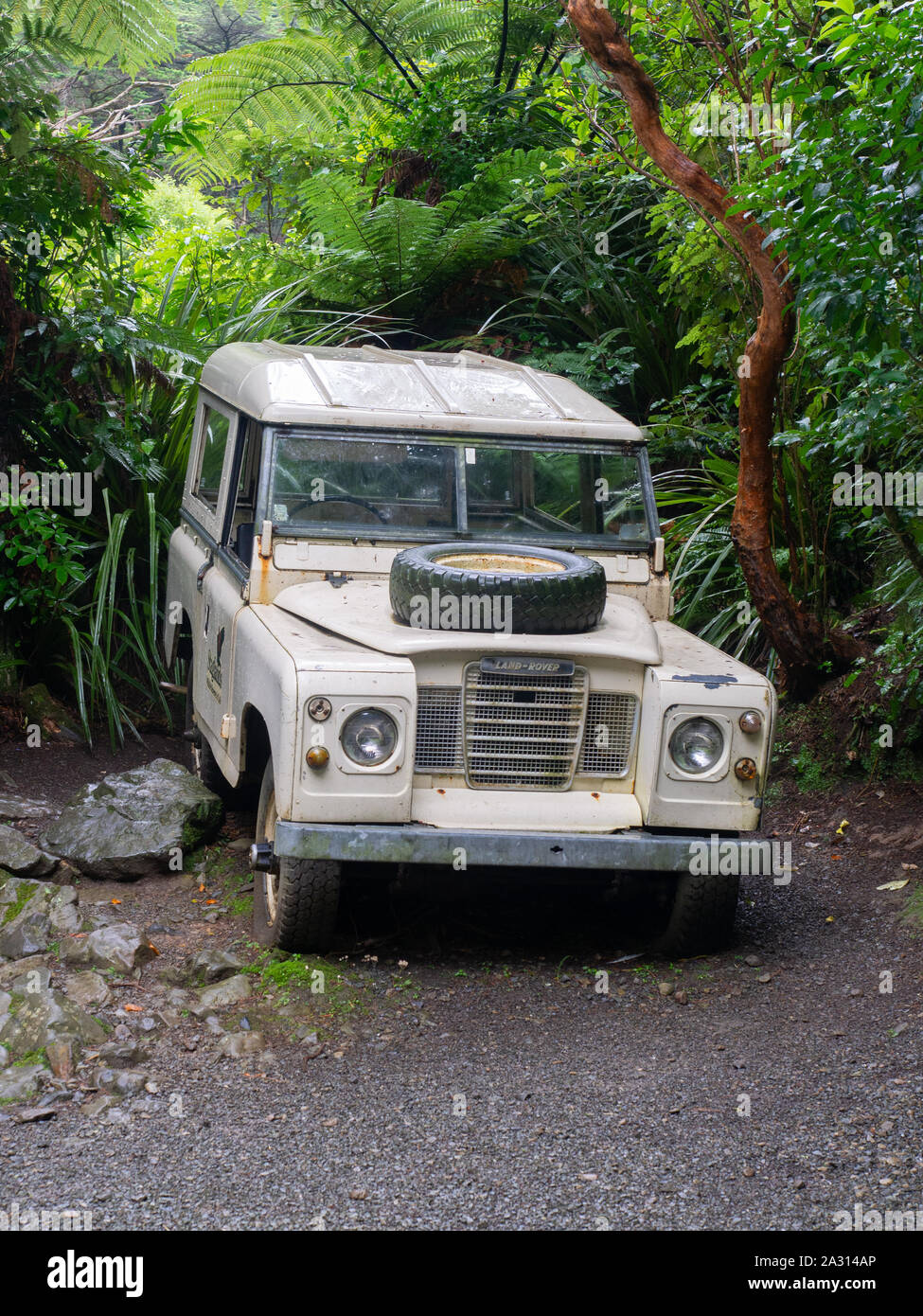 An Old Abandoned Jeep In The Bush Stock Photo - Alamy