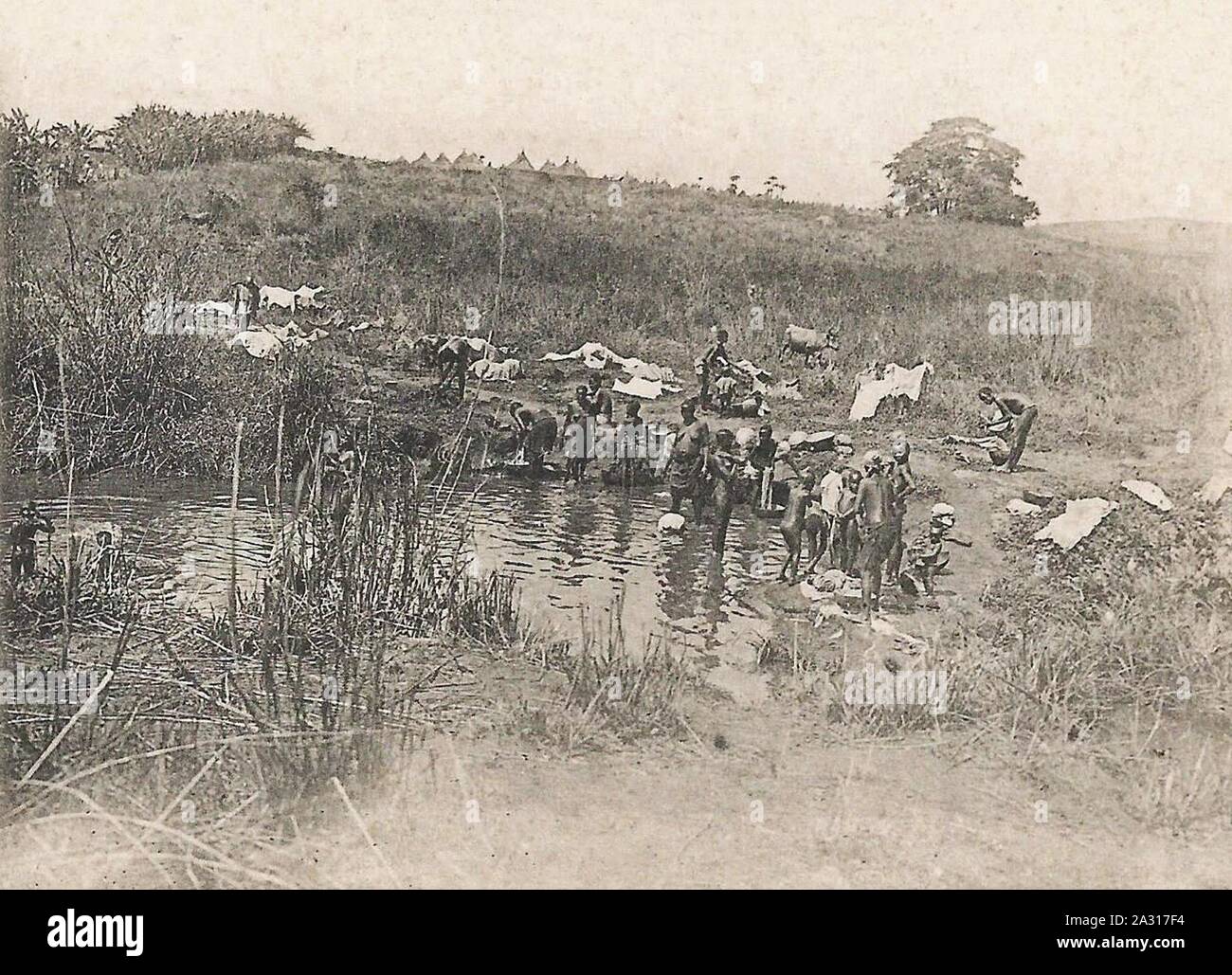 Beyla hi-res stock photography and images - Alamy