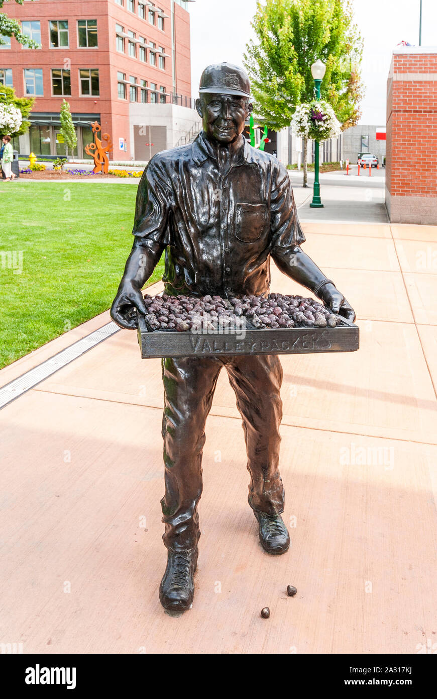 Valley Packers Statue in Pioneer Park in Puyallup, Washington. City ...