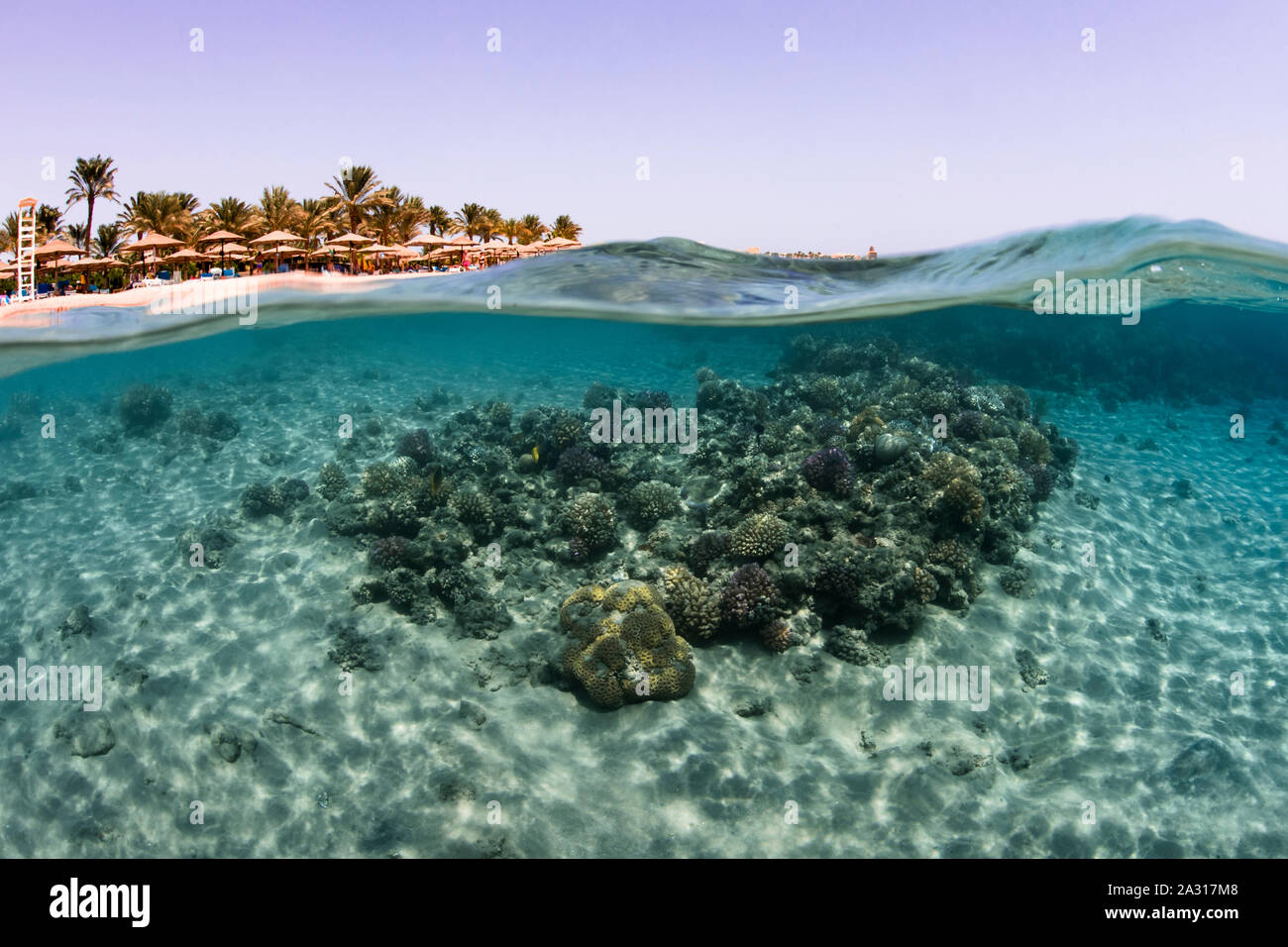 Egypt split level hi-res stock photography and images - Alamy