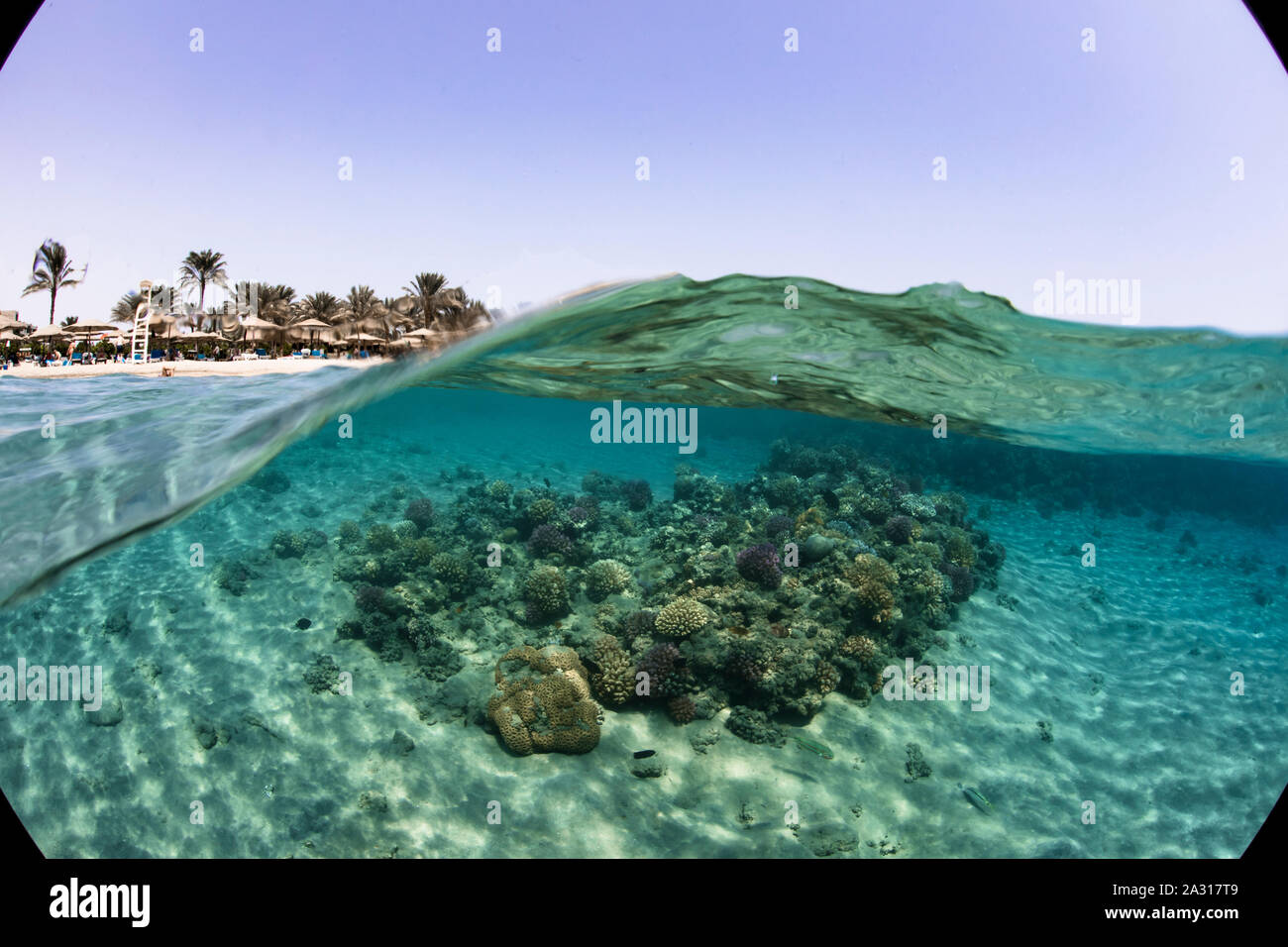 Split level wave hi-res stock photography and images - Alamy