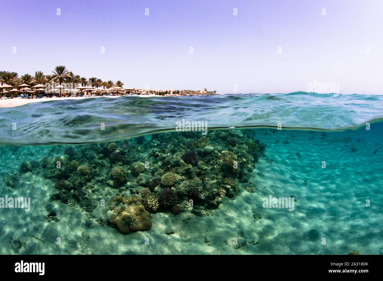 Egypt split level hi-res stock photography and images - Alamy