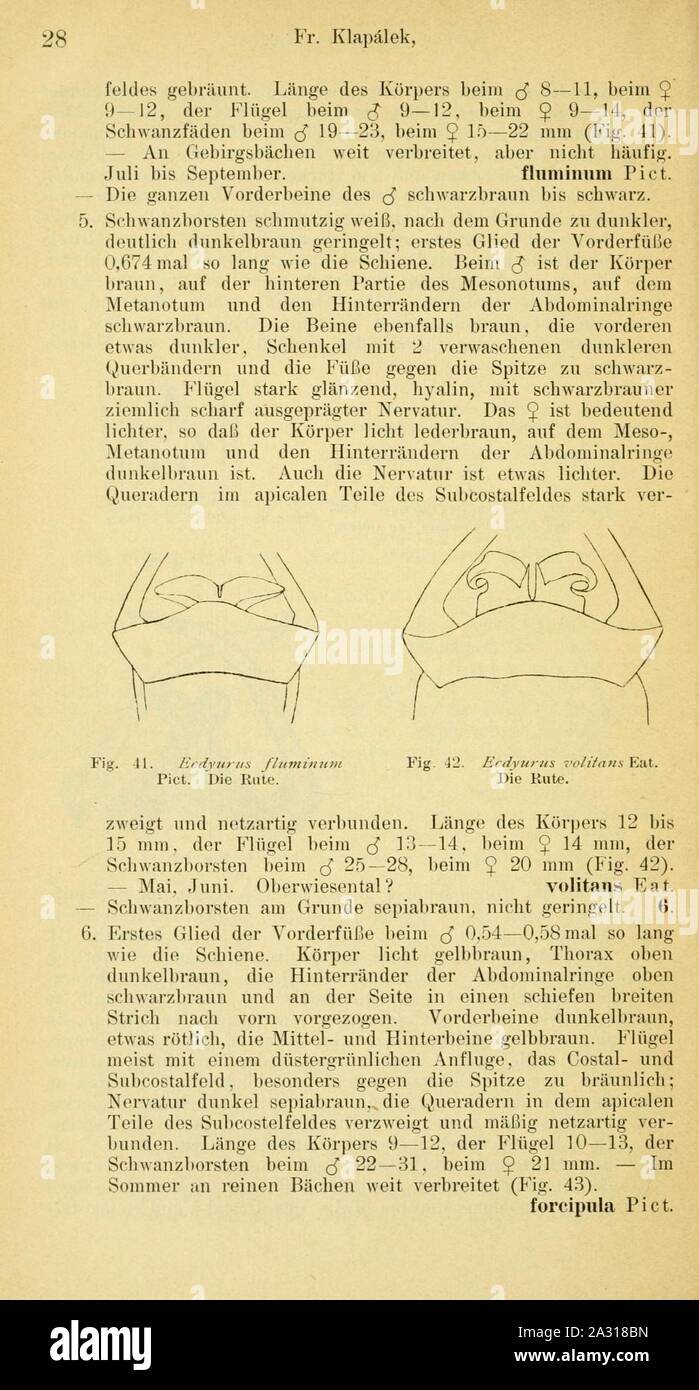 Ephemerida, Plecoptera, Lepidoptera (Page 28 Stock Photo - Alamy
