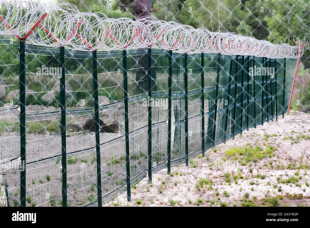 Barb Wire Swirl Designs