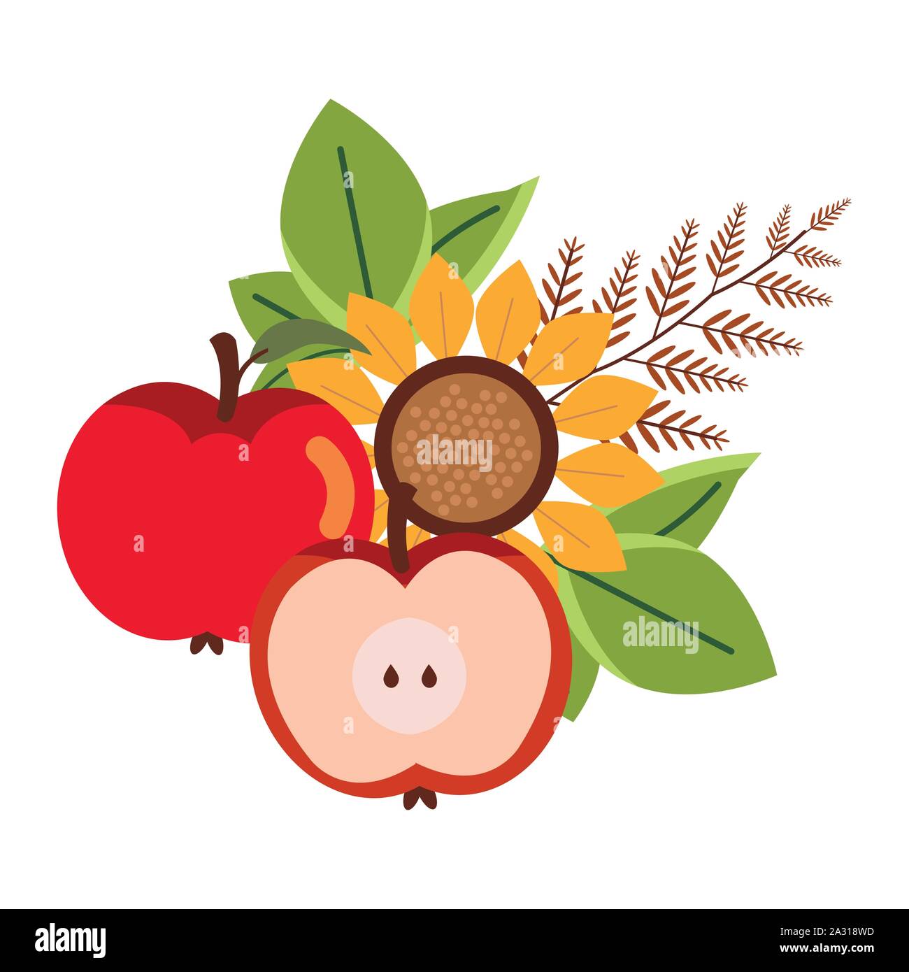 apples autumn fruits with sunflower seasonal icons Stock Vector Image ...