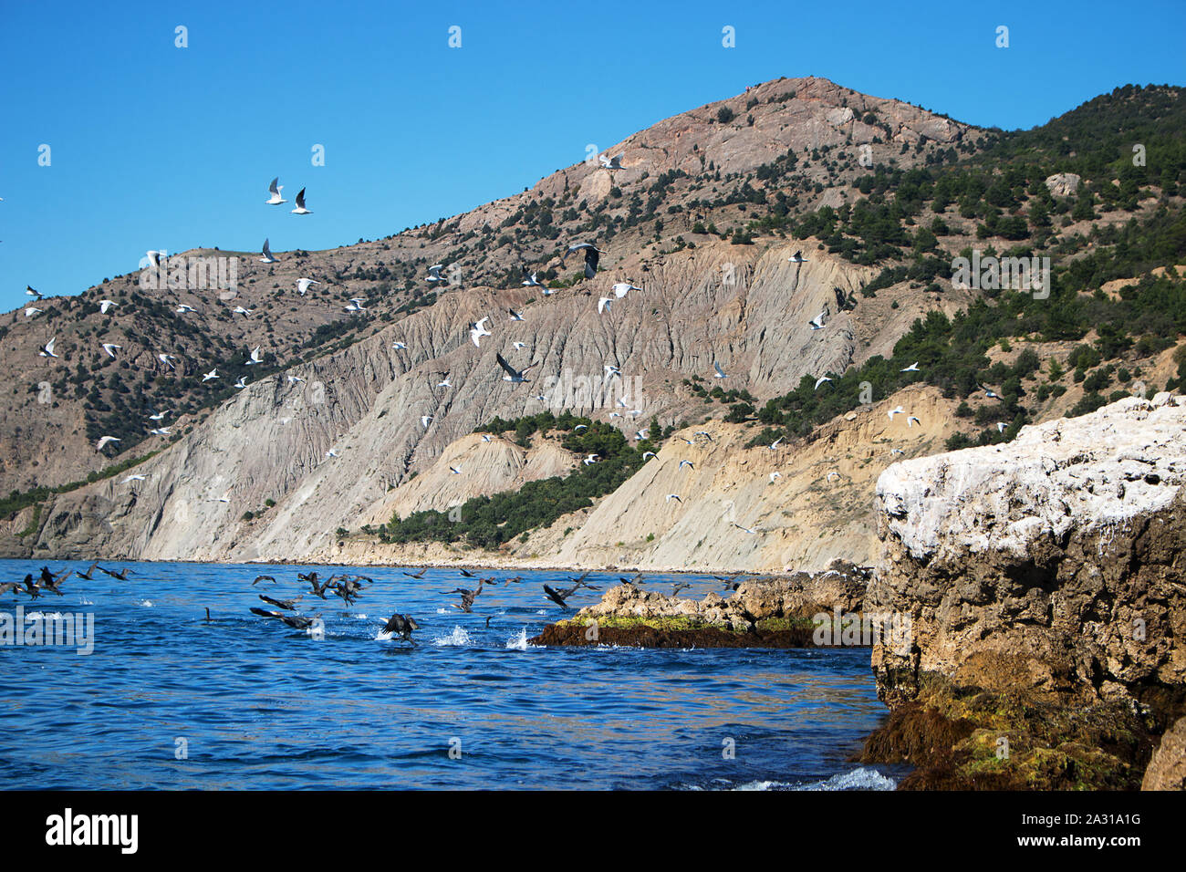 Rock outlier on background of mountains without forests, which are ...