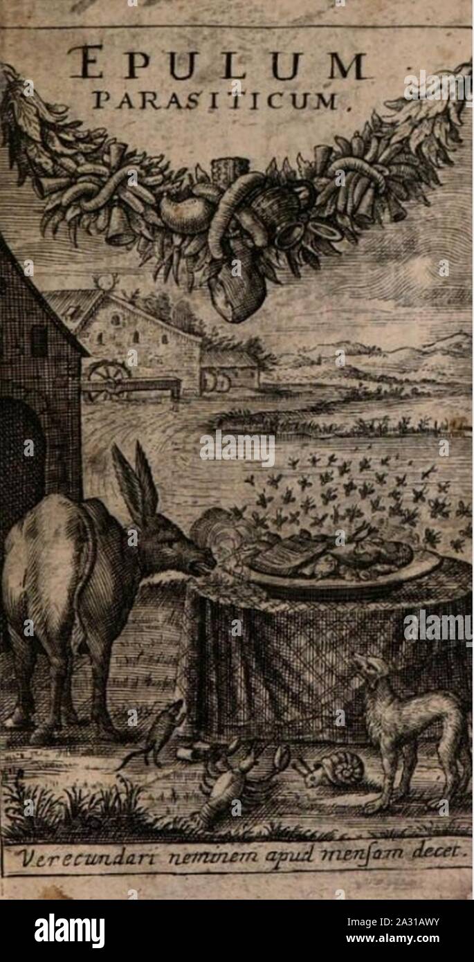 Parasiticum hi-res stock photography and images - Alamy